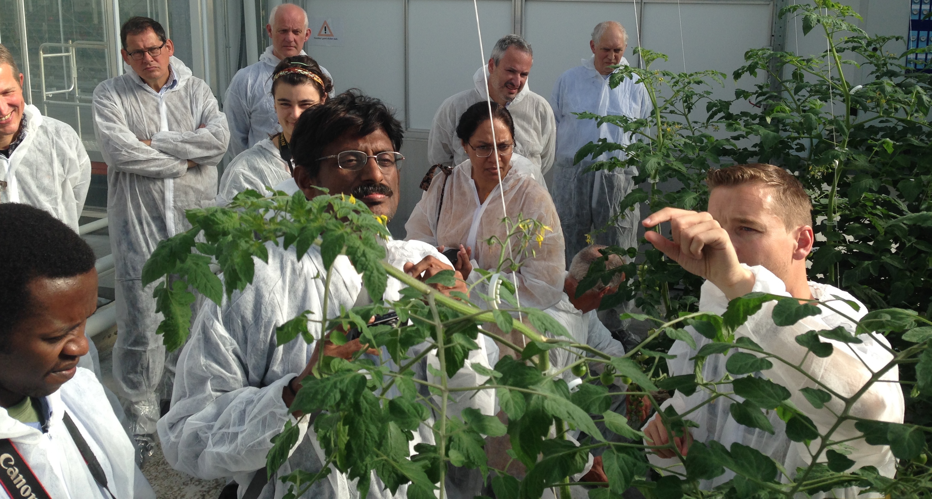 Farmers and breeders from Africa and Asia visit Dutch vegetable seed ...