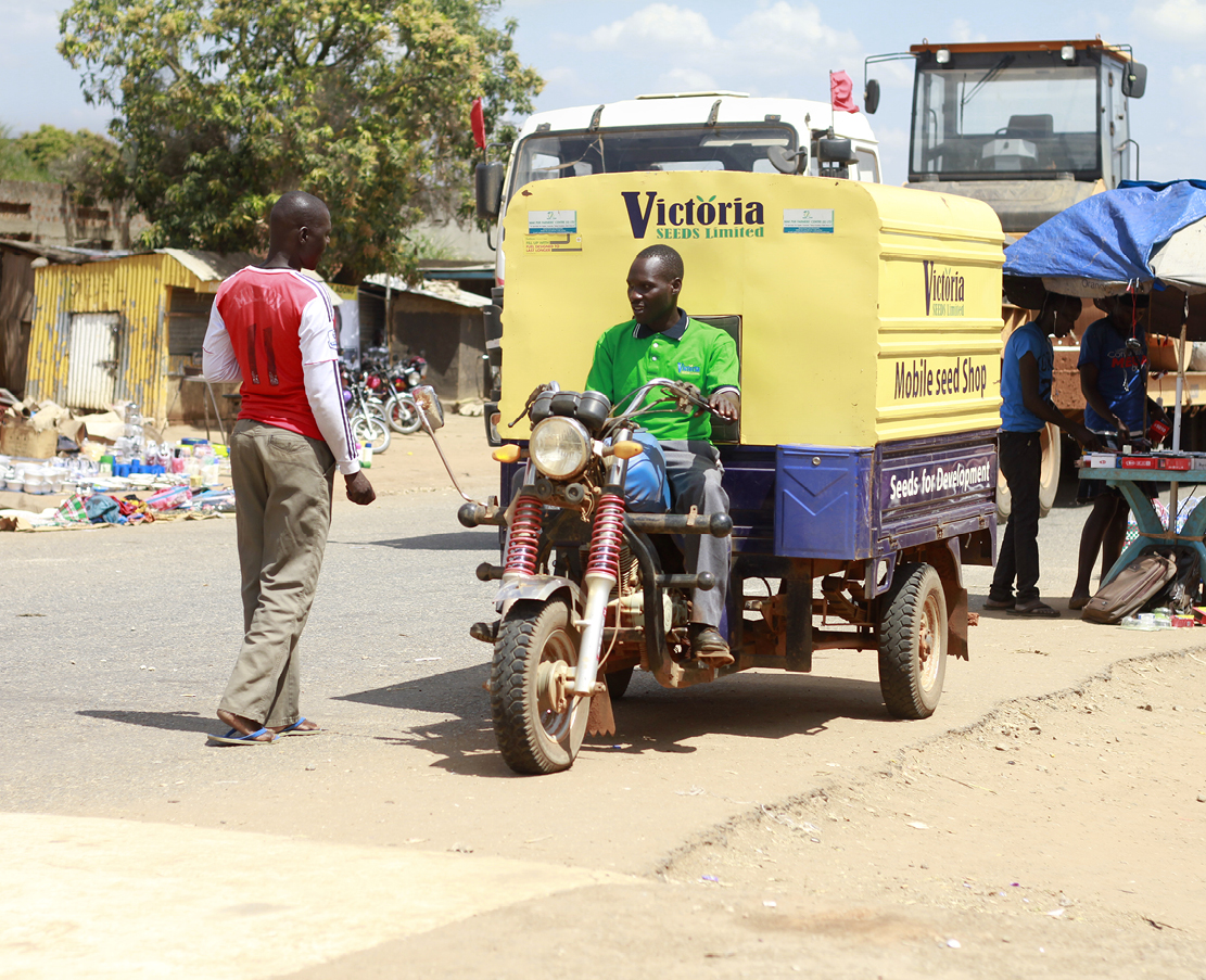 Methodology - Access to seeds