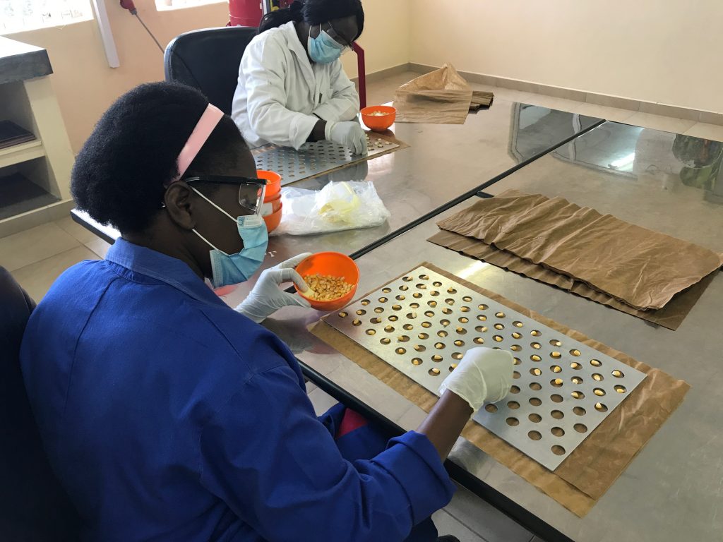 Eastern and Southern Africa - Access to seeds